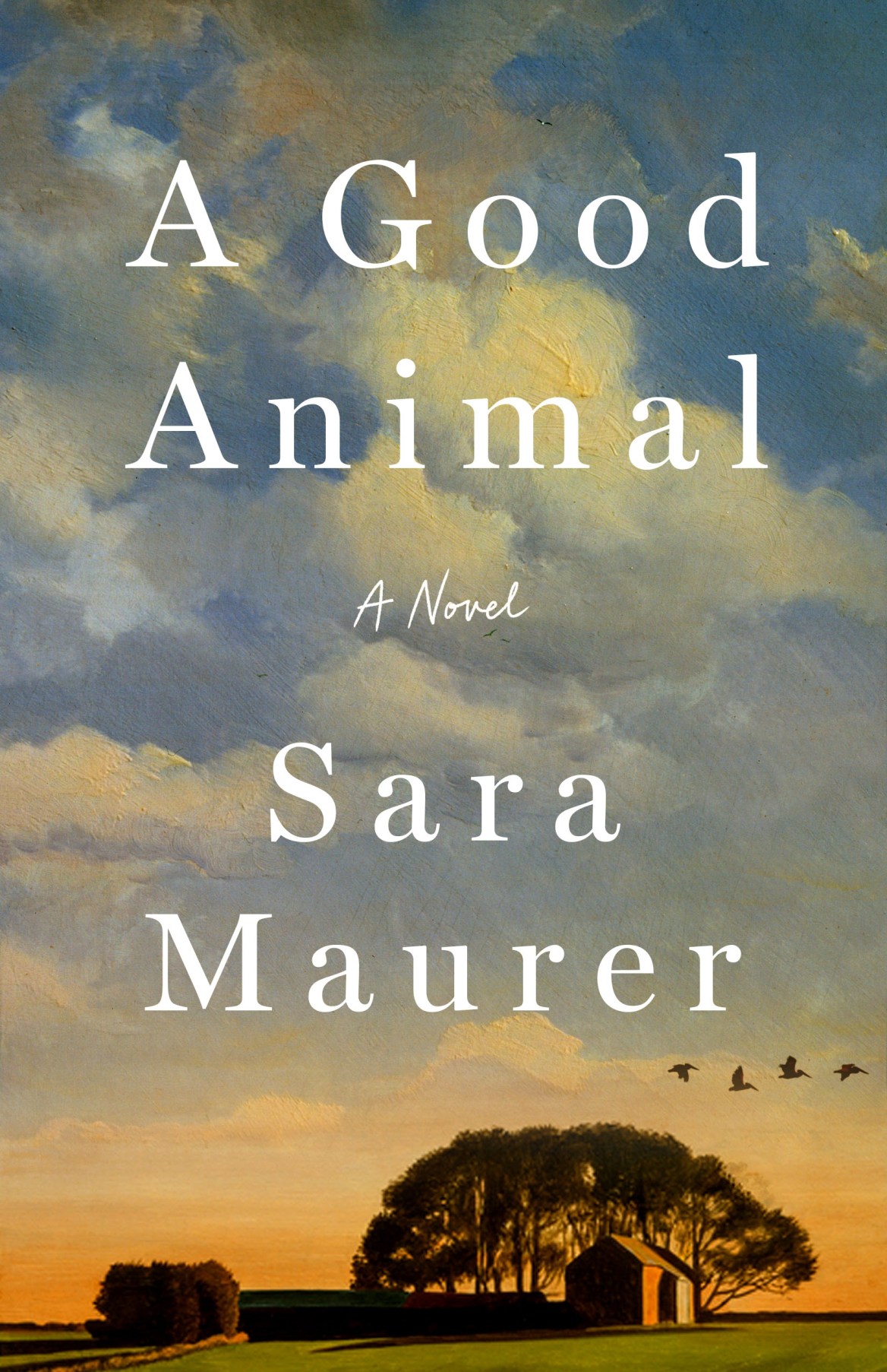 A Good Animal, by Sara Maurer***** | Seattle Book Mama